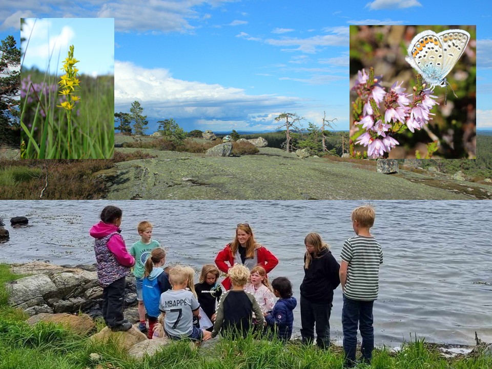 Bli med Barnas Turlag Havrefjell på den store artsjakten på Risfjell i ...