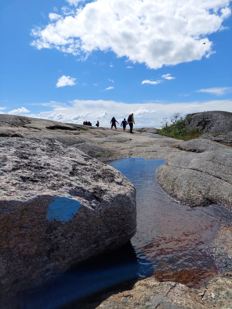 Tur langs Kyststien i Stavern - DNT