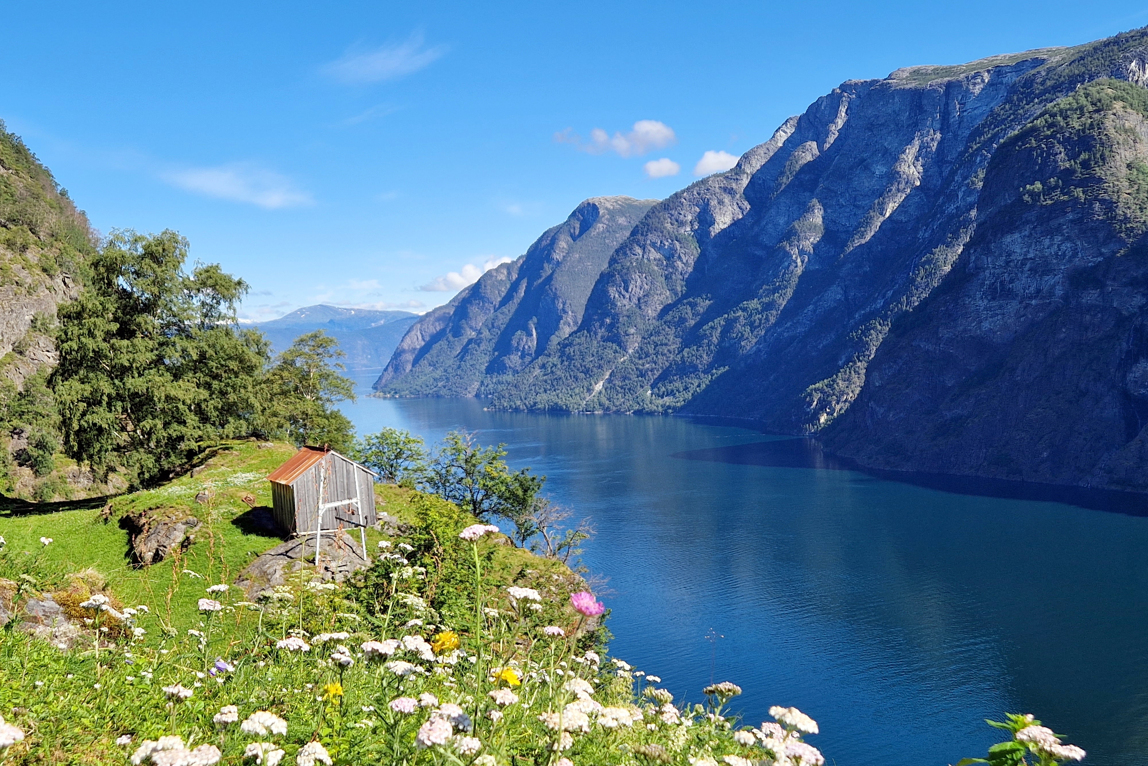 Turtips i Sogn - DNT