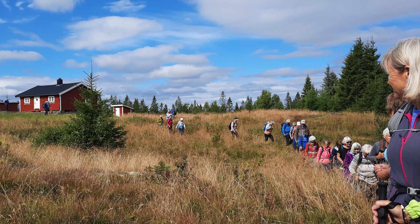 Praktiske opplysninger om turer med DNT Ringerike - DNT