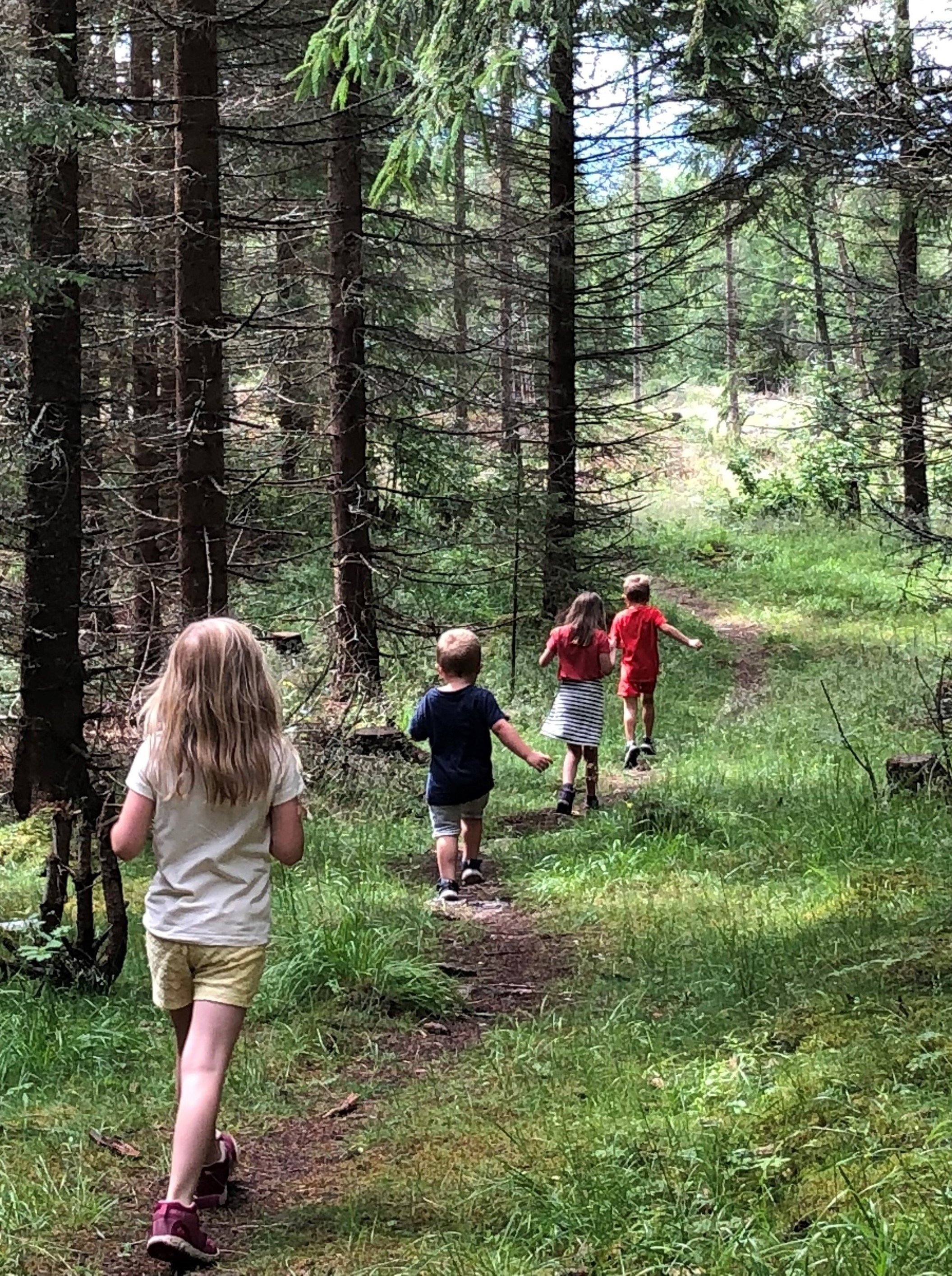 Turprogrammet 2024 - DNT