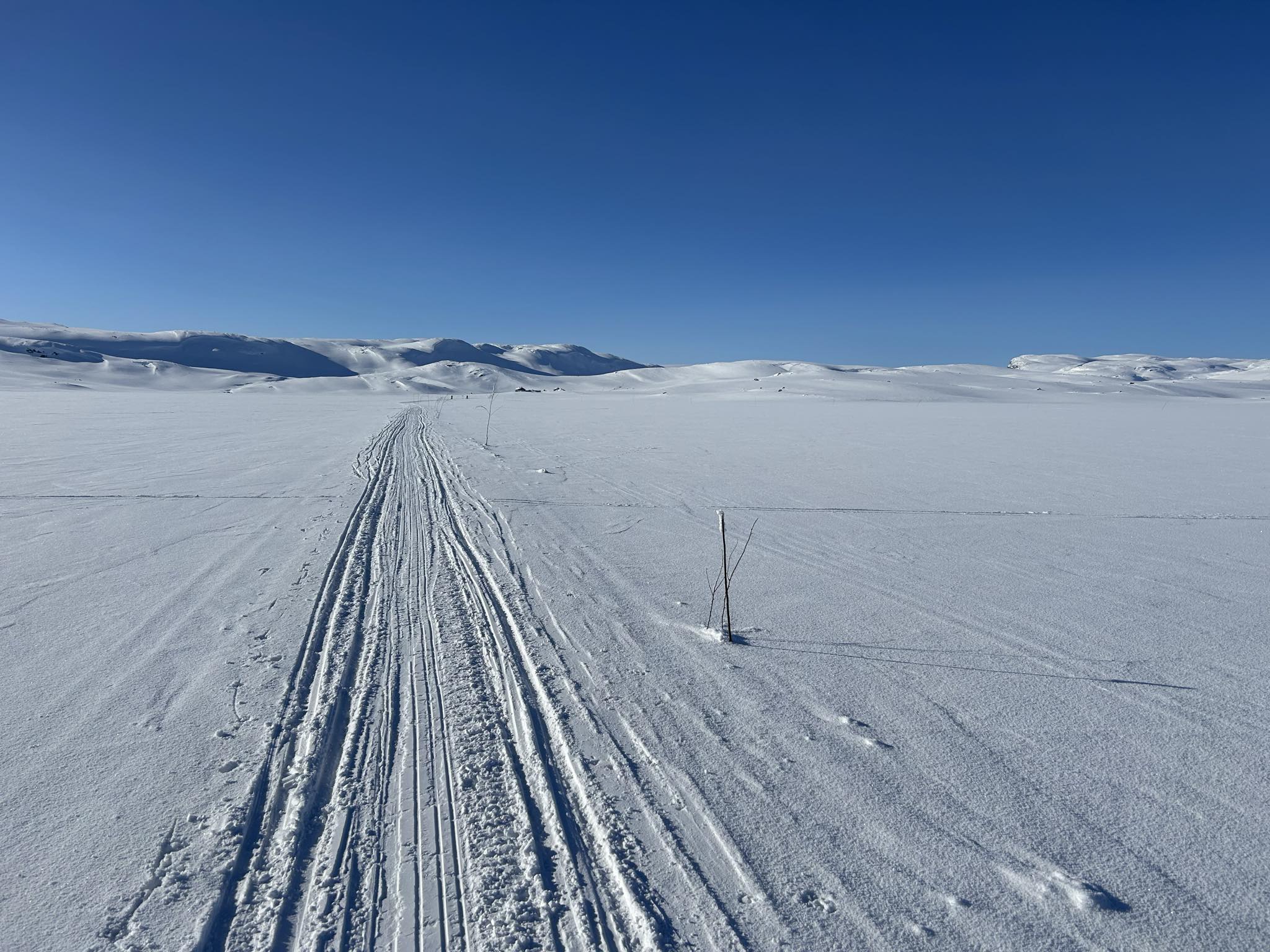Føremeldinger fra Hardangervidda - DNT