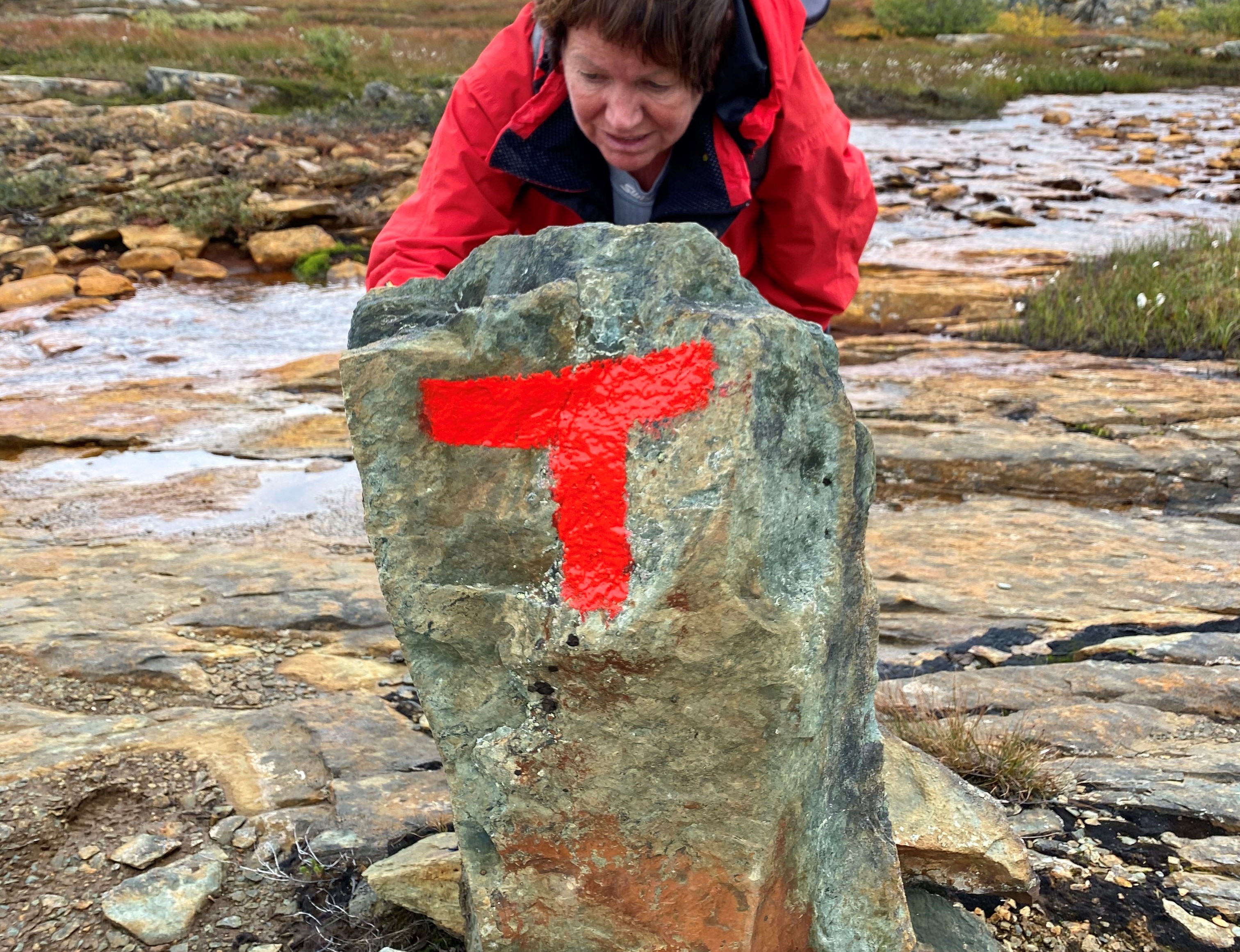 Frivillig i DNT Tønsberg og Omegn - DNT