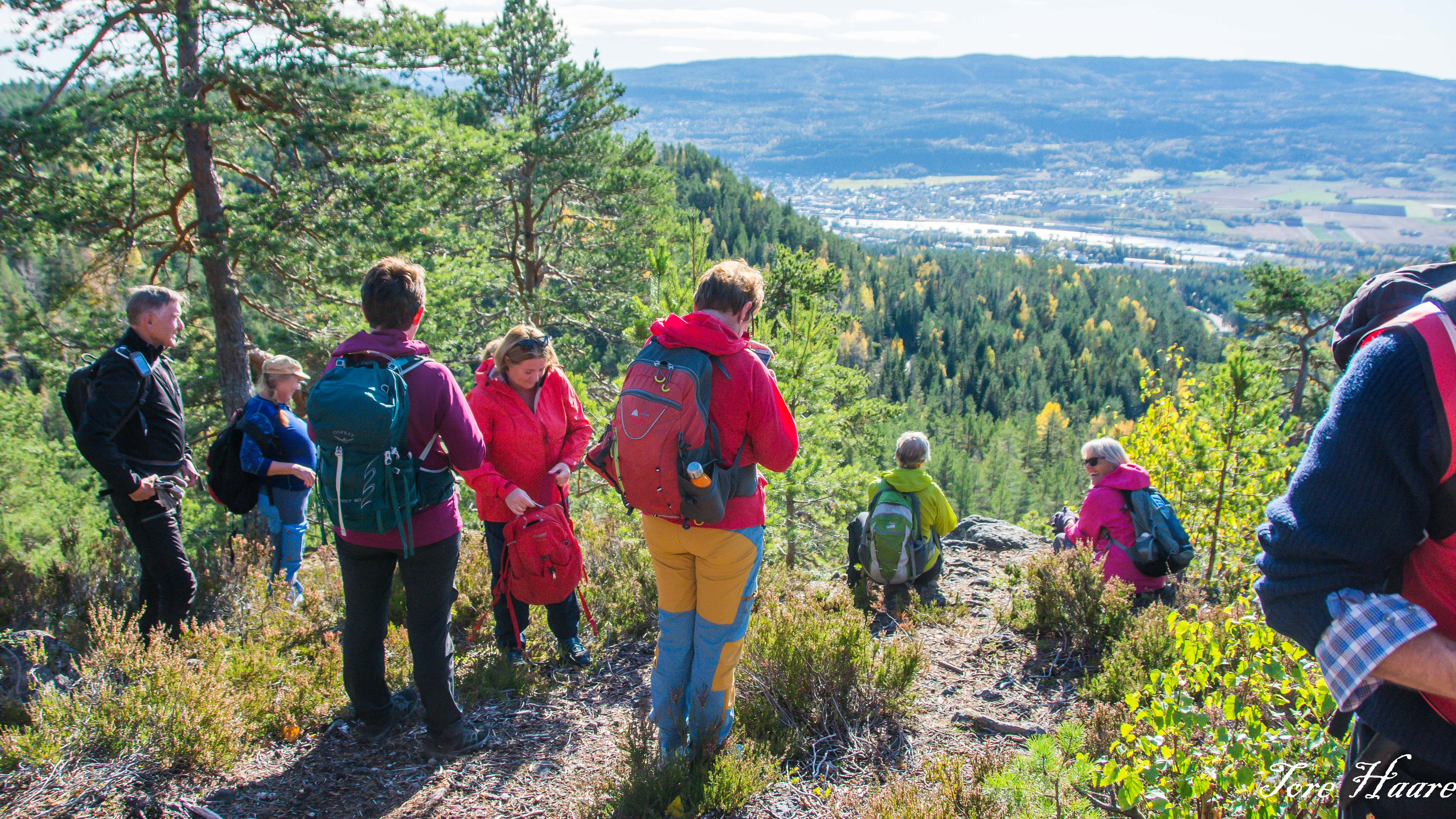 Seniorturer for 2025 er klare! - DNT