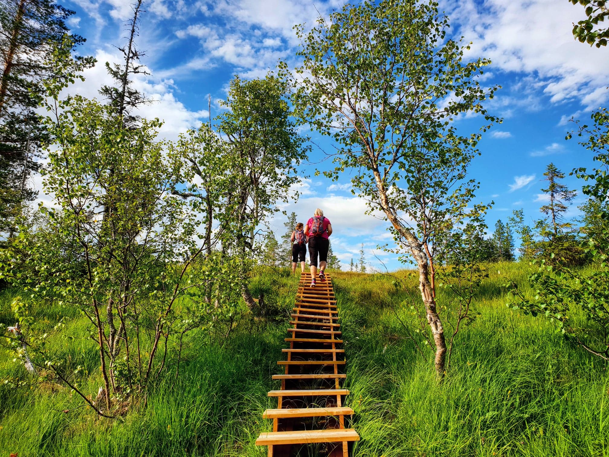 Turer og aktiviteter med Skarven Turlag og Veteranan Skarven - DNT
