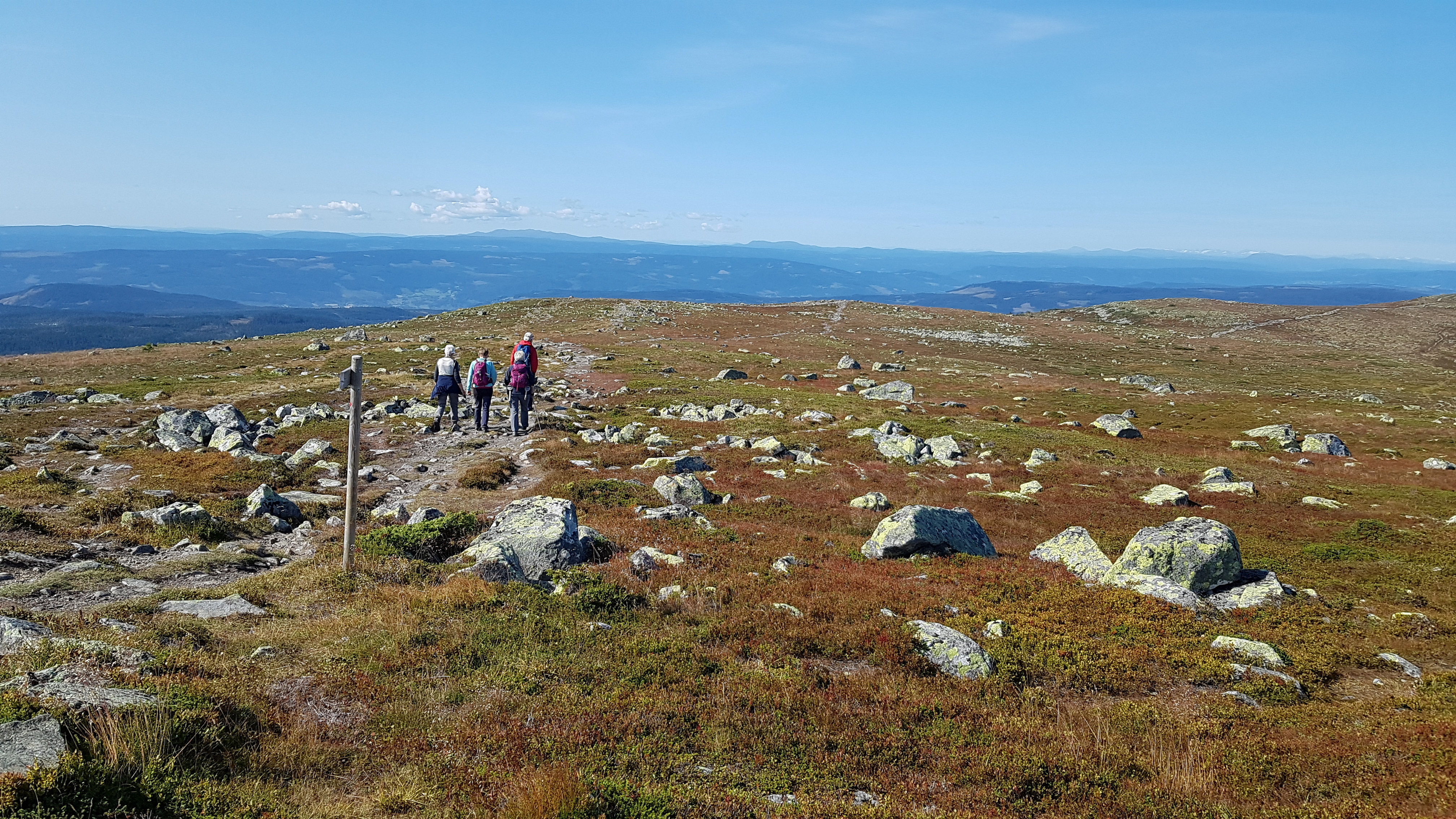 Print ut turprogram - DNT