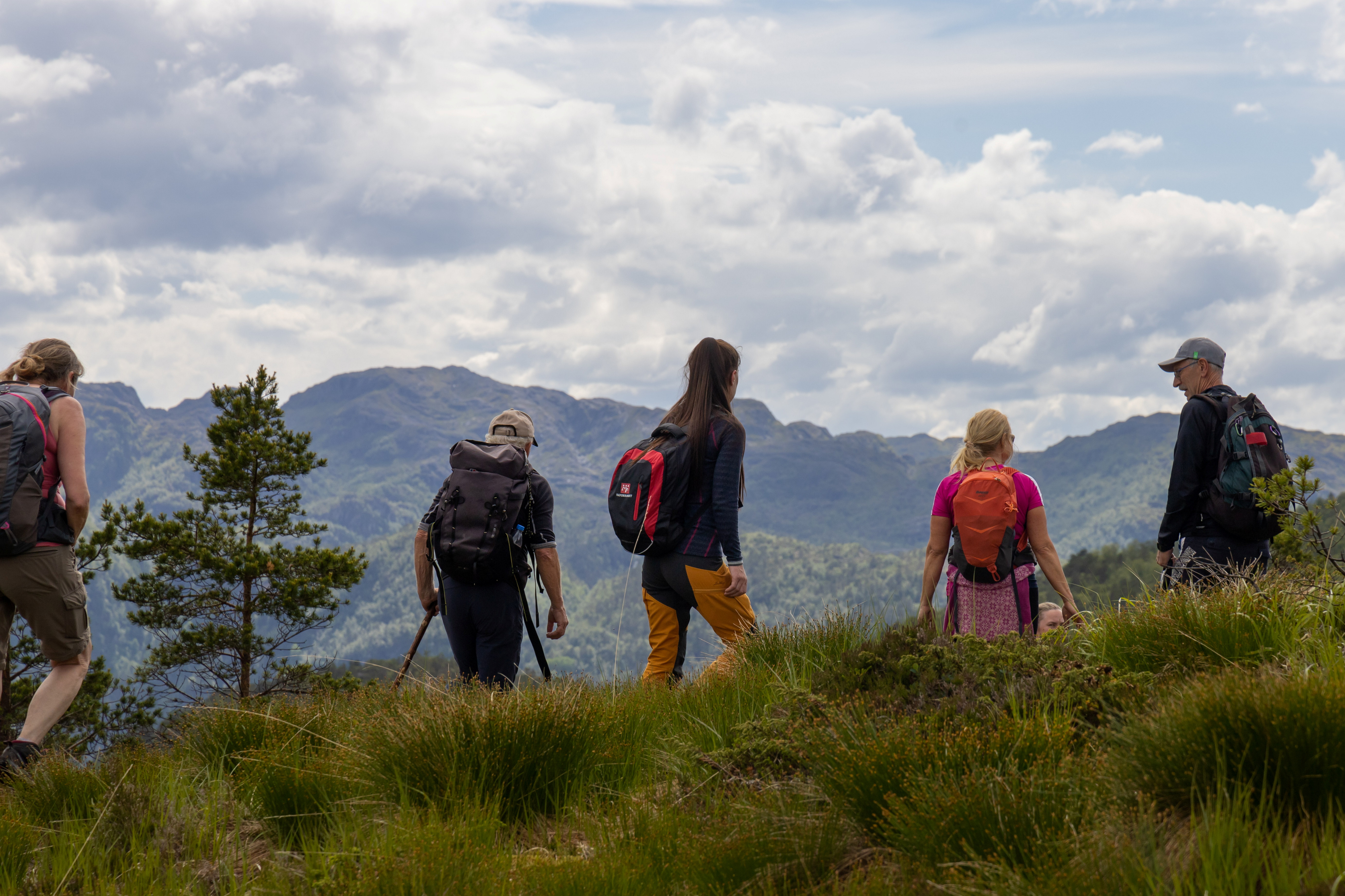 Turtips på Vestlandet