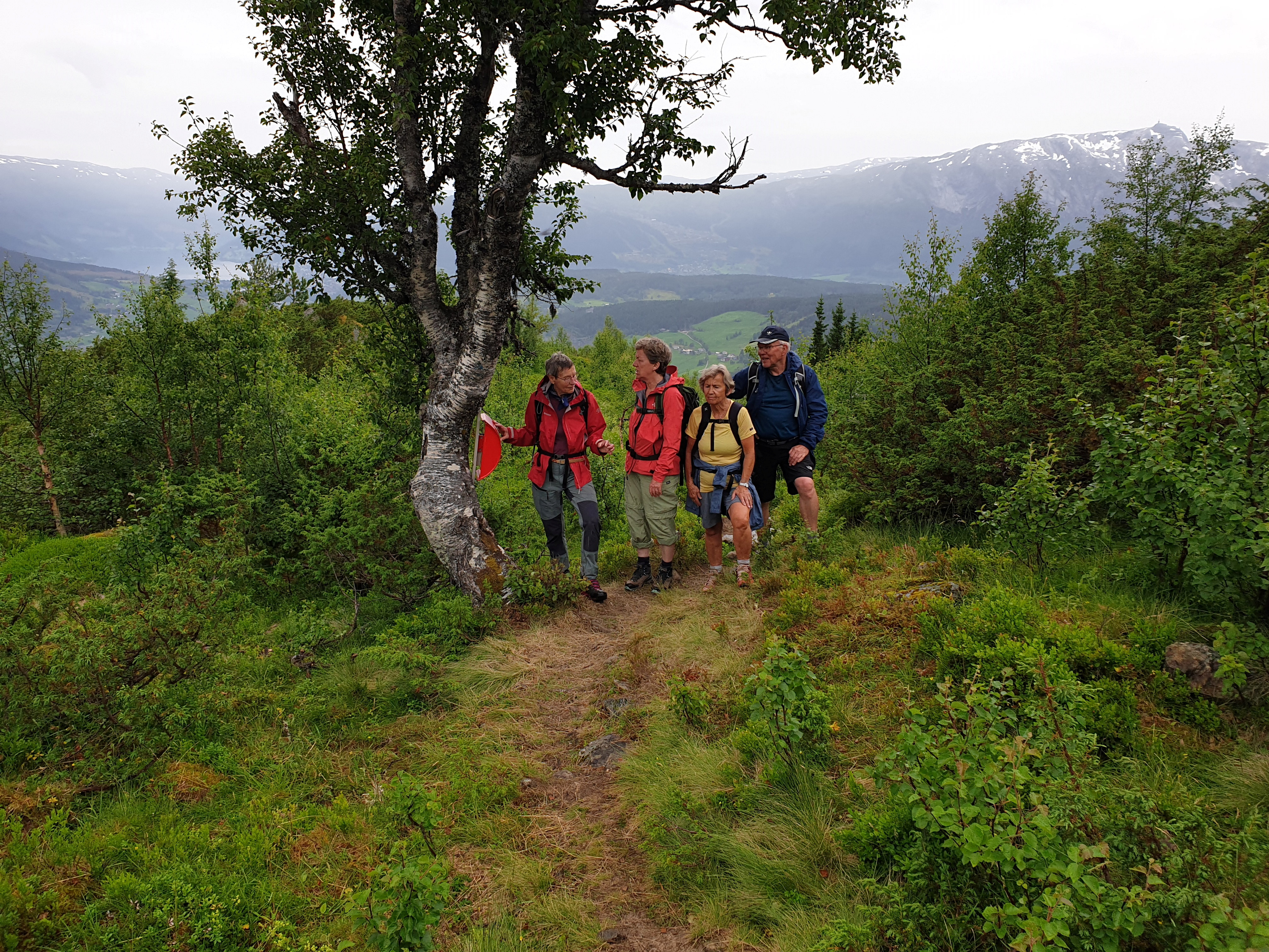 Seniortur til Sollii og Sollikamben - DNT