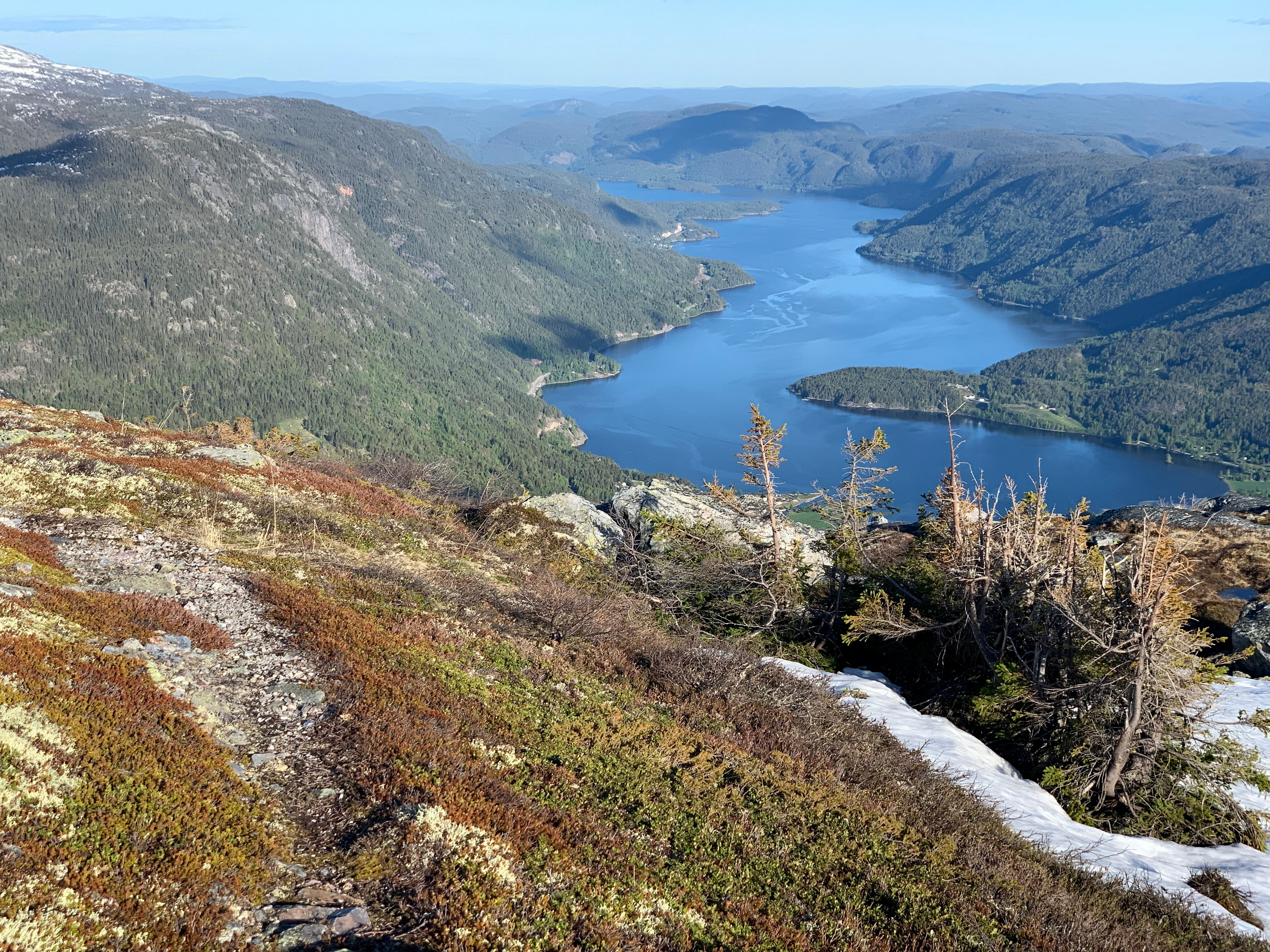 Utforsk skog og fjell i Seljord